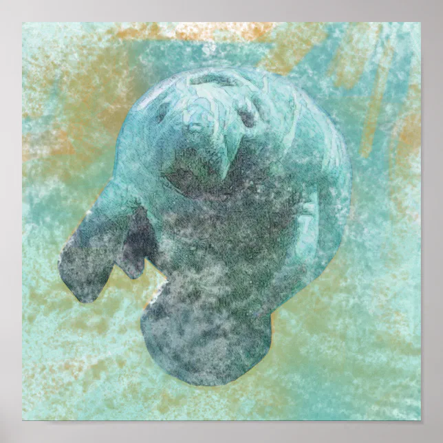 Manatee In Water Coastal Artwork Poster | Zazzle