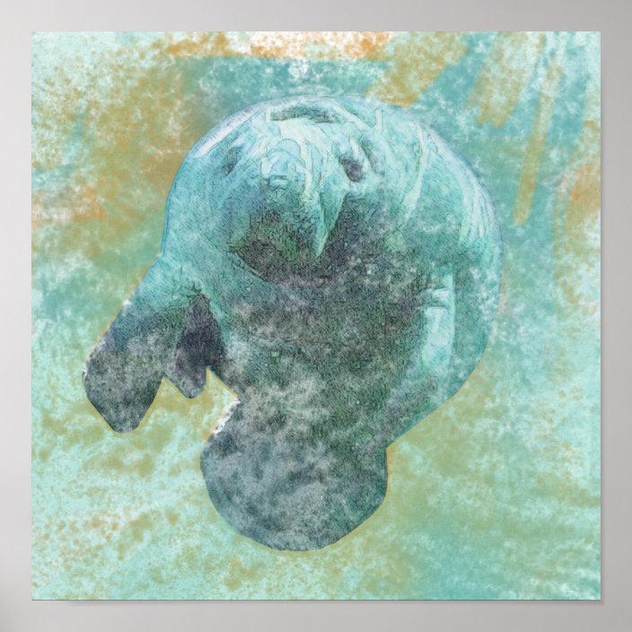 Manatee In Water Coastal Artwork Poster | Zazzle.com
