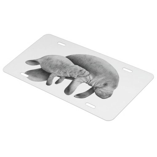 Manatee Mother and Calf License Plate | Zazzle