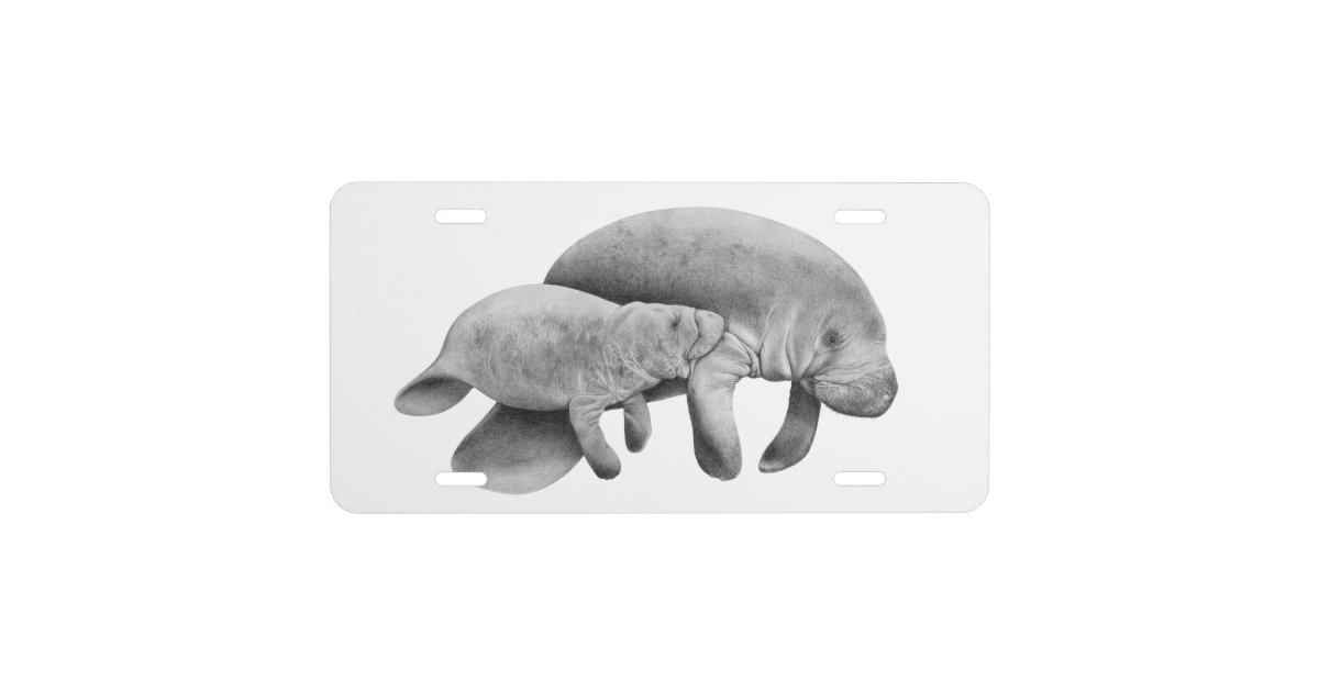 Manatee Mother and Calf License Plate | Zazzle