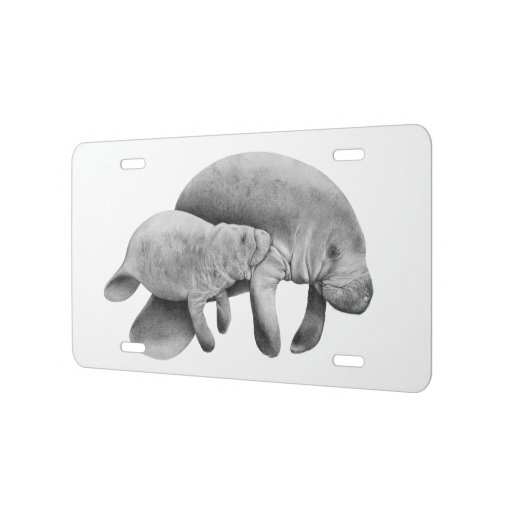 Manatee Mother and Calf License Plate | Zazzle