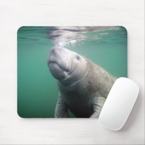 Manatee Mouse Pad | Zazzle