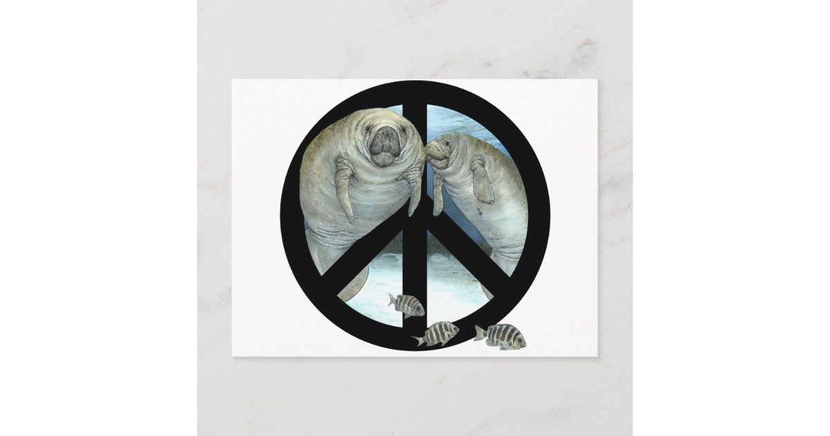 manatee peace postcard | Zazzle