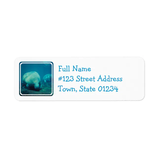 Manatee Photo Mailing Label | Zazzle