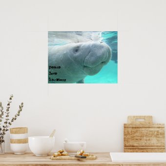 Manatee Poster | Zazzle
