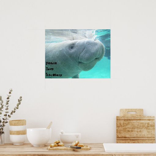 Manatee Poster | Zazzle
