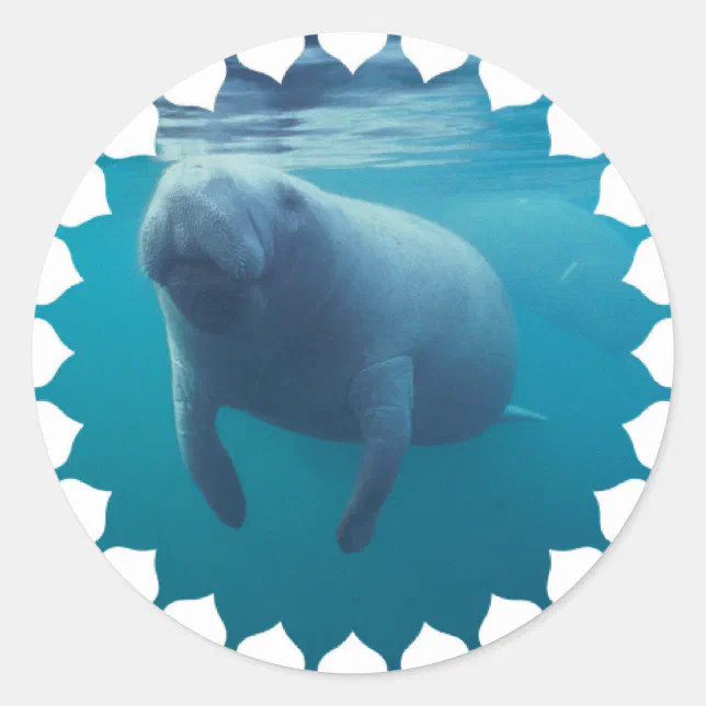 Manatee Stickers | Zazzle