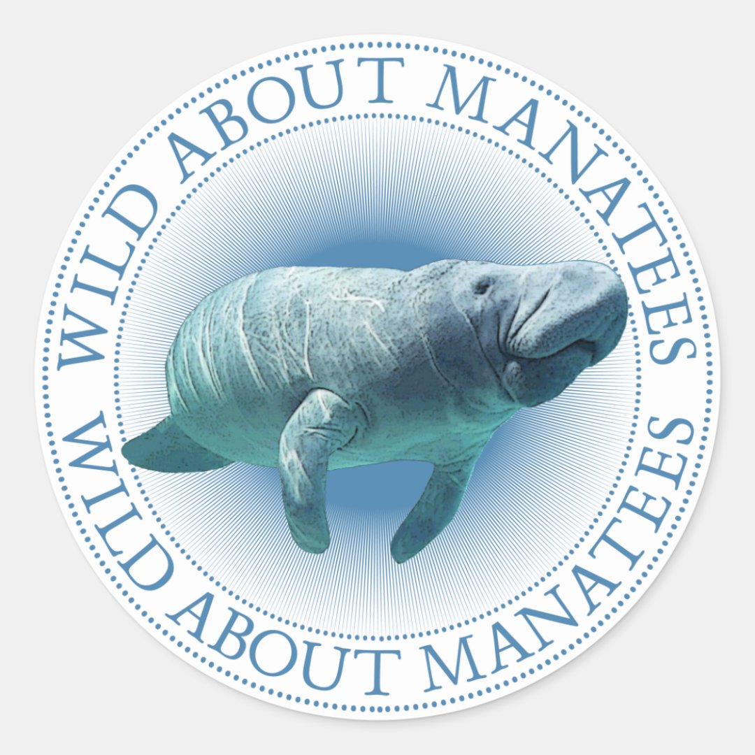Manatee Stickers | Zazzle