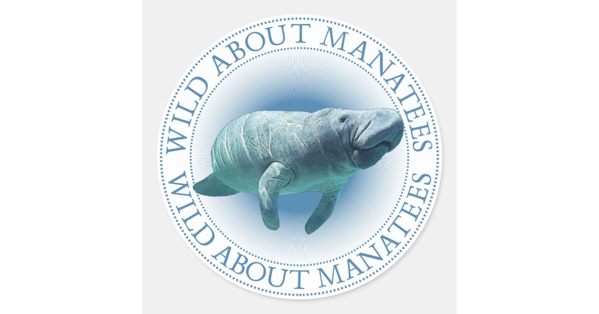 Manatee Stickers | Zazzle