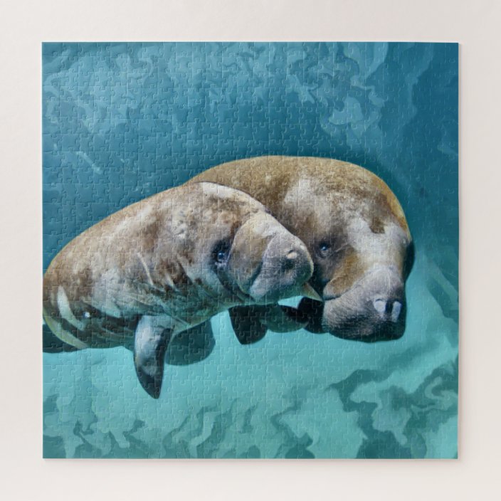 Manatees Jigsaw Puzzle | Zazzle.com