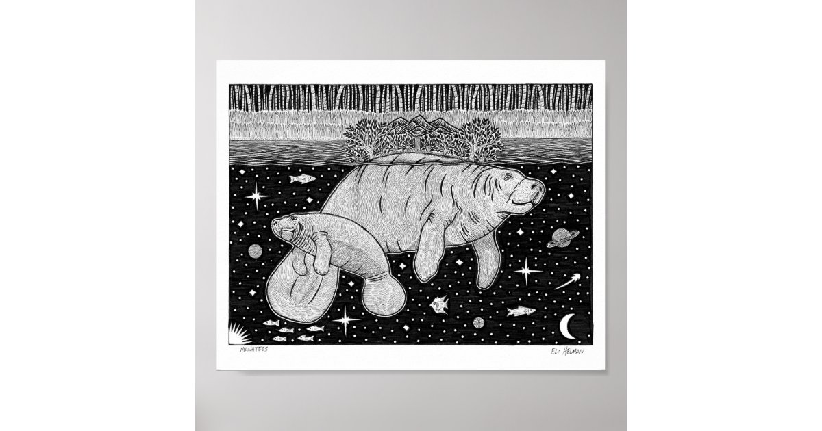 Manatees Poster | Zazzle