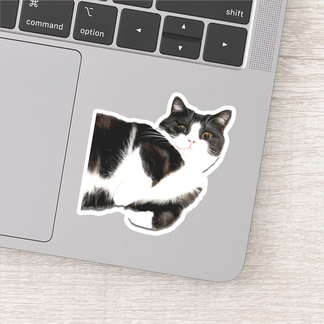 Manchester "Hi!" Sticker | Zazzle