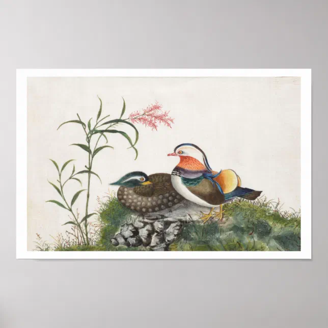 Mandarin Duck Chinese Painting Poster | Zazzle
