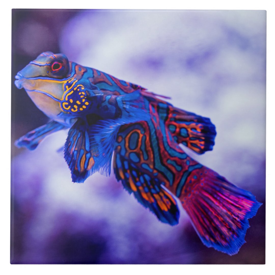 Mandarin Goby Fish Ceramic Tile | Zazzle