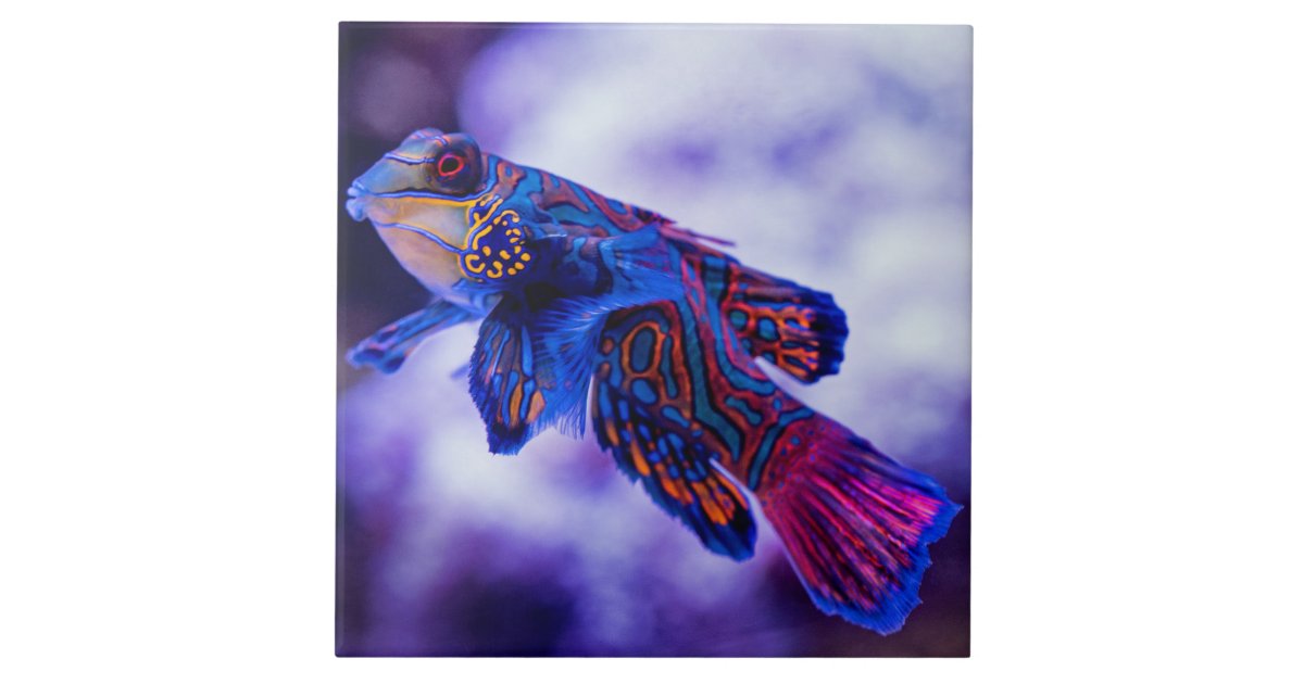 Mandarin Goby Fish Ceramic Tile | Zazzle