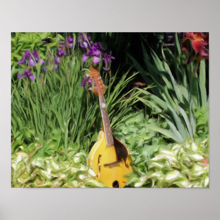 Mandolin Iris Flower Garden Photo Painting Poster | Zazzle