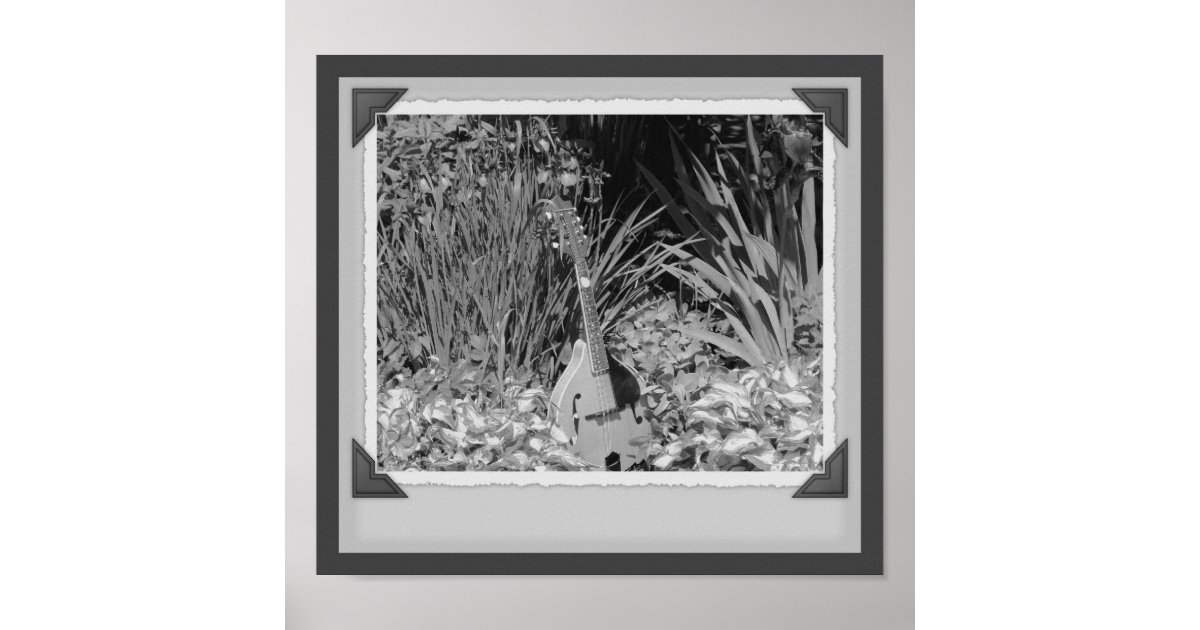Mandolin Iris Garden Black And White Snapshot Poster | Zazzle