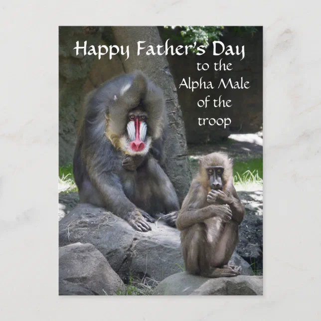 Mandrill Monkey Father's Day postcard | Zazzle