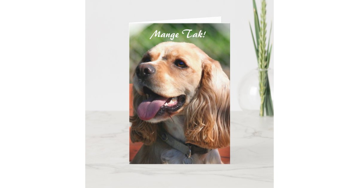 Mange Tak Thank You Cocker spaniel greeting card | Zazzle