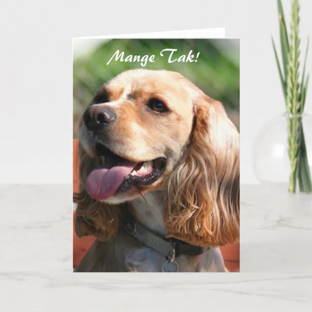 Mange Tak Thank You Cocker spaniel greeting card | Zazzle