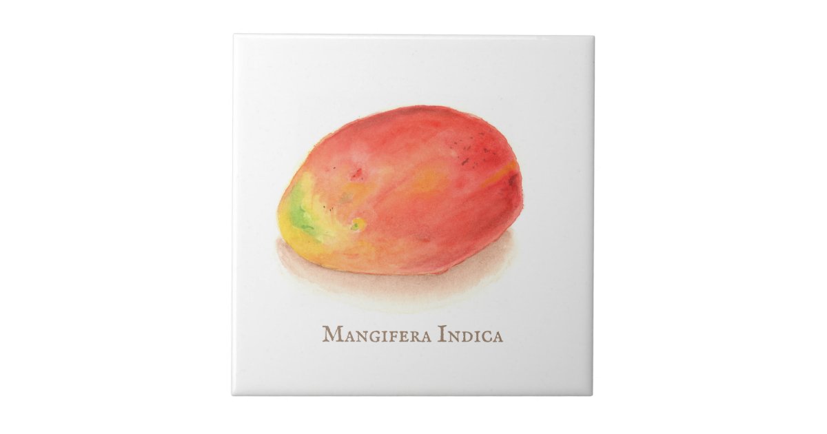 Mango! Ceramic Tile | Zazzle