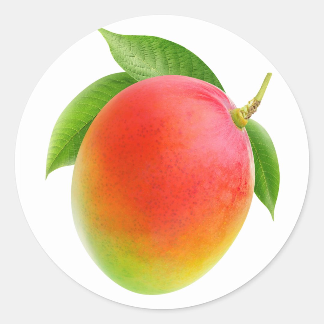 Mango Classic Round Sticker | Zazzle