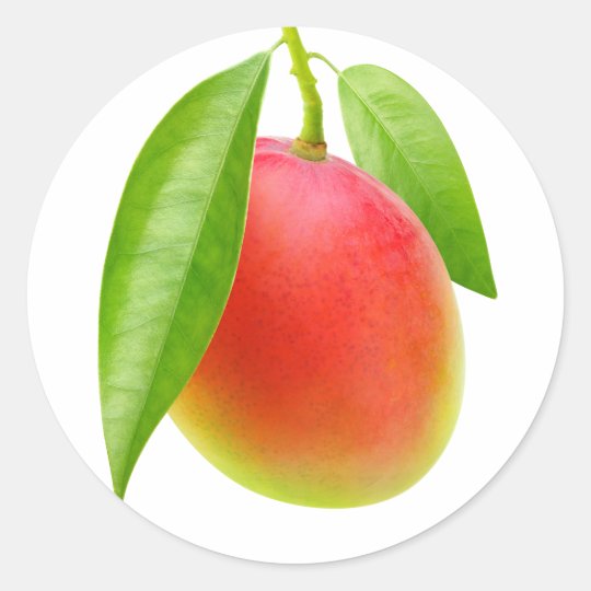Mango Classic Round Sticker | Zazzle.com
