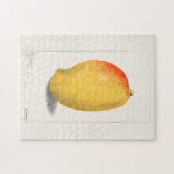 Mango (Mangifera Indica) Fruit Watercolor Painting Jigsaw Puzzle | Zazzle