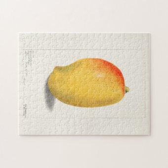 Mango (Mangifera Indica) Fruit Watercolor Painting Jigsaw Puzzle | Zazzle