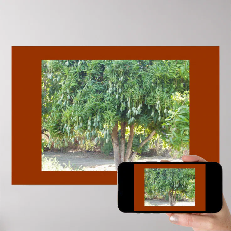 MANGO TREE POSTER | Zazzle