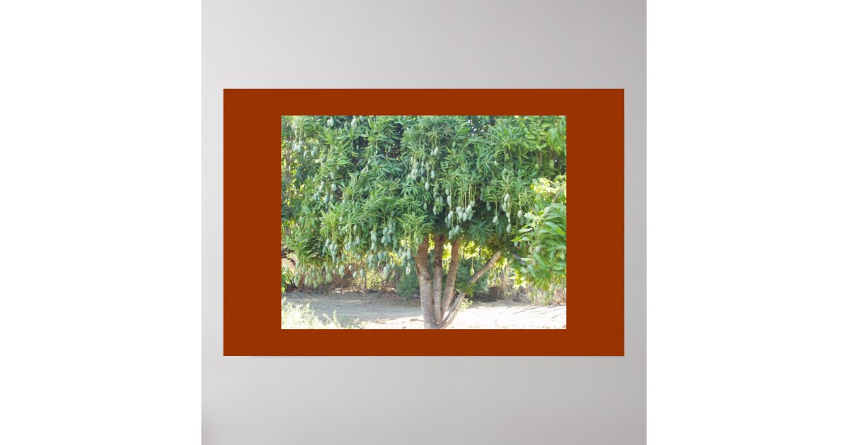 MANGO TREE POSTER | Zazzle