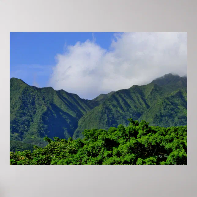 Manoa Valley Poster | Zazzle