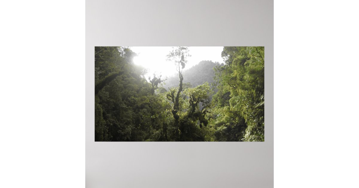 Manu National Park Poster | Zazzle
