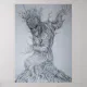 Maori Gods, Tane Mahuta. God of the forest Poster | Zazzle