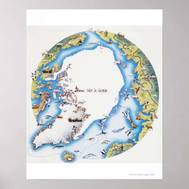 Map of Arctic Poster | Zazzle