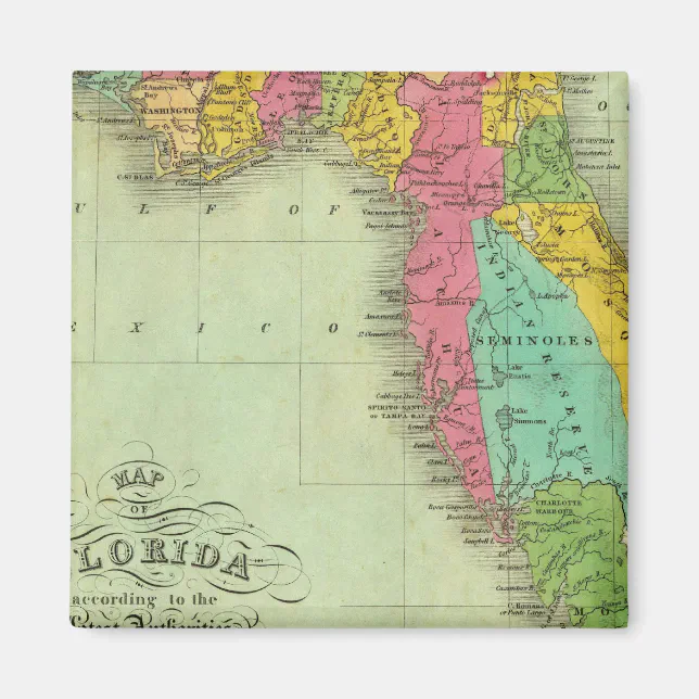 Map of Florida Magnet | Zazzle