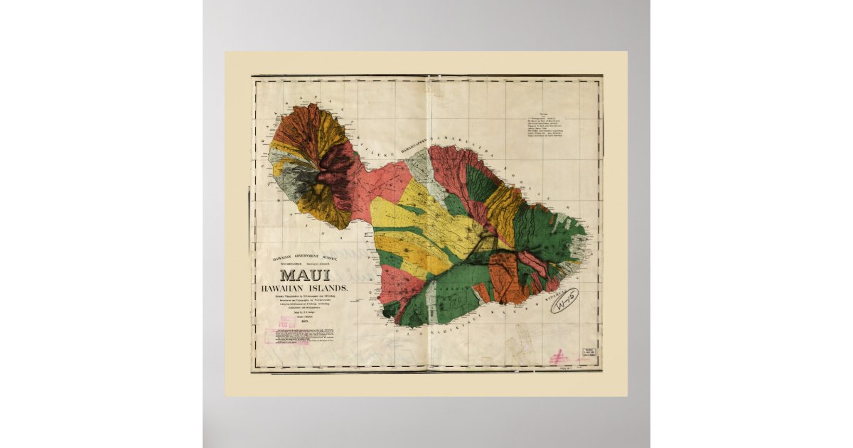 Map of Maui, Hawaiian Island (1885) Poster | Zazzle