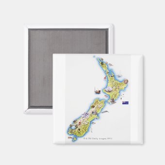 Map of New Zealand Magnet | Zazzle