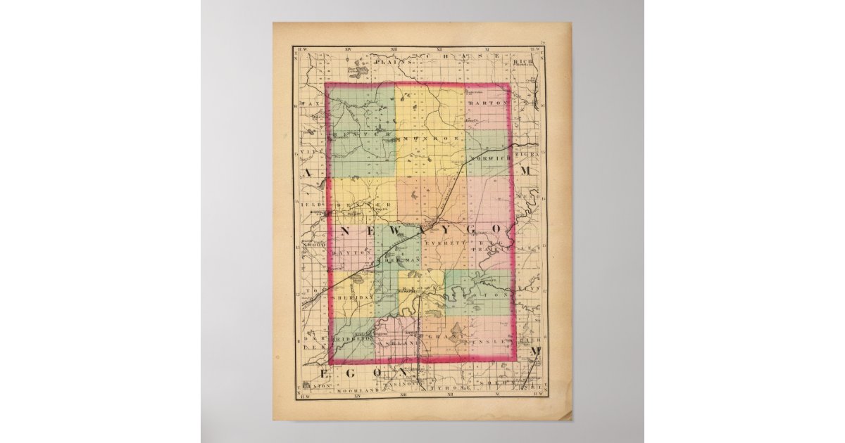 Map of Newaygo County, Michigan Poster | Zazzle