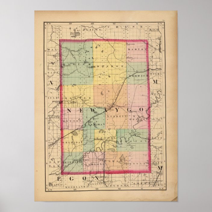 Map of Newaygo County, Michigan Poster | Zazzle.com