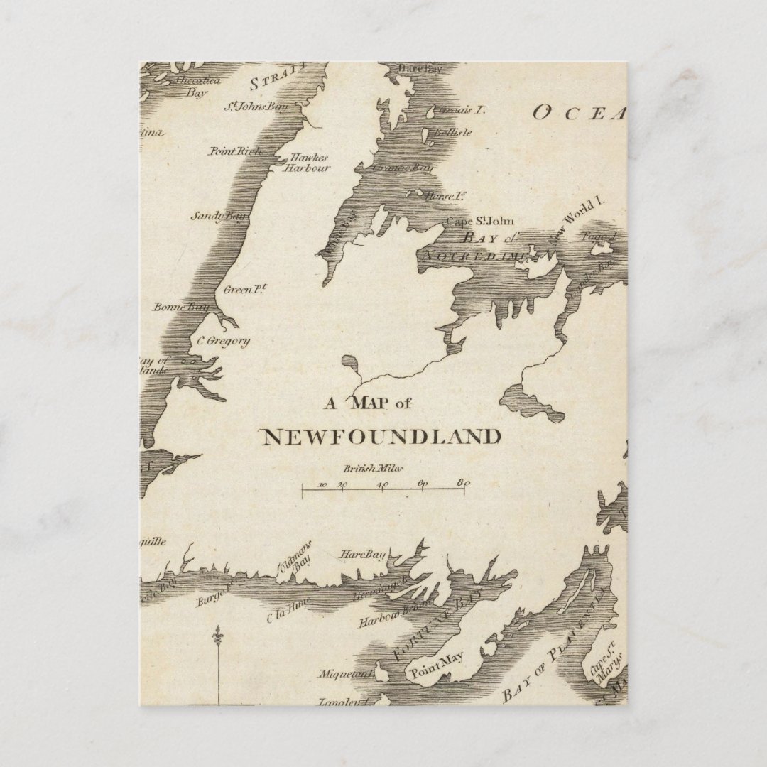 Map of Newfoundland Postcard | Zazzle