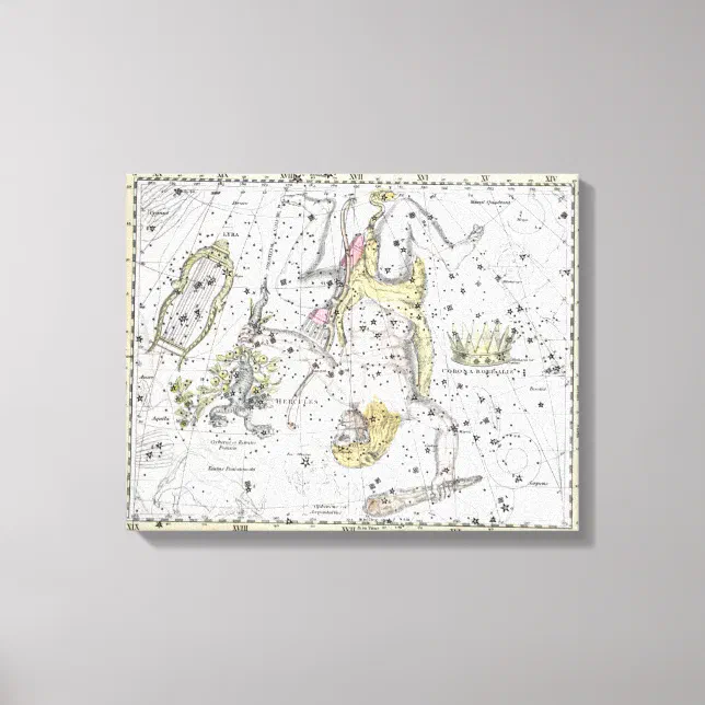 Map of The Constellations Plate VIII Canvas Print | Zazzle