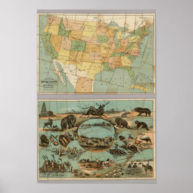 Map of the United States of America 2 Poster | Zazzle