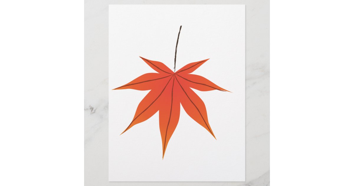Maple Leaf Flyer | Zazzle