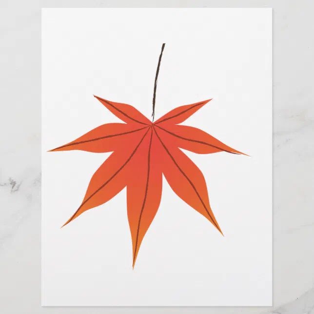 Maple Leaf Flyer | Zazzle