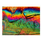 maple syrup under a microscope postcard | Zazzle.com