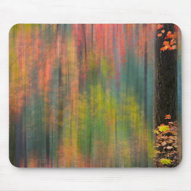 Maple Trees | Silver Falls State Park Mouse Pad | Zazzle