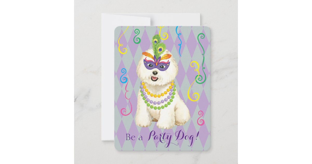 Mardi Gras Bichon Frise Invitation | Zazzle