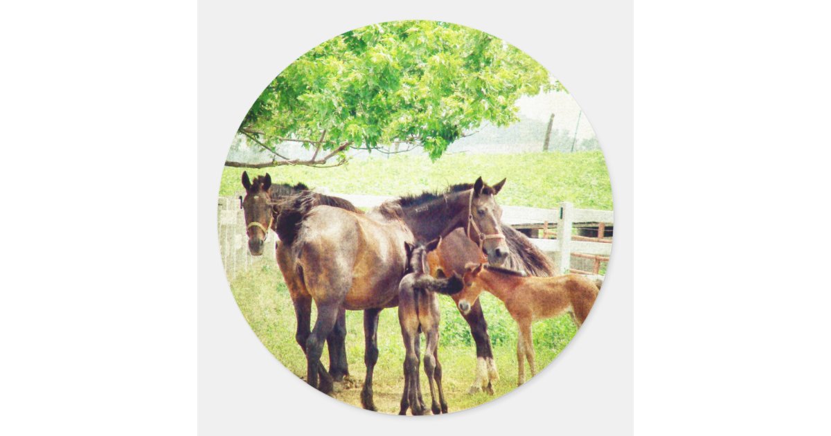 Mares and Foals Classic Round Sticker | Zazzle
