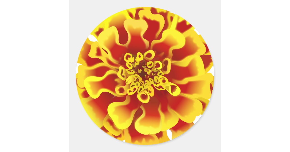 Marigold Flower Classic Round Sticker | Zazzle